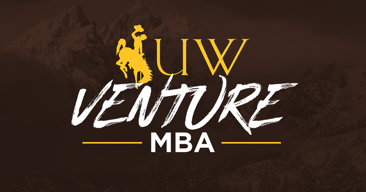 Venture MBA