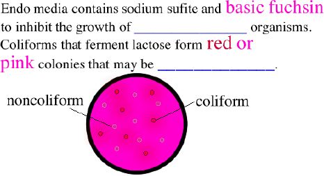 Lecture23_f06_blank.cwk